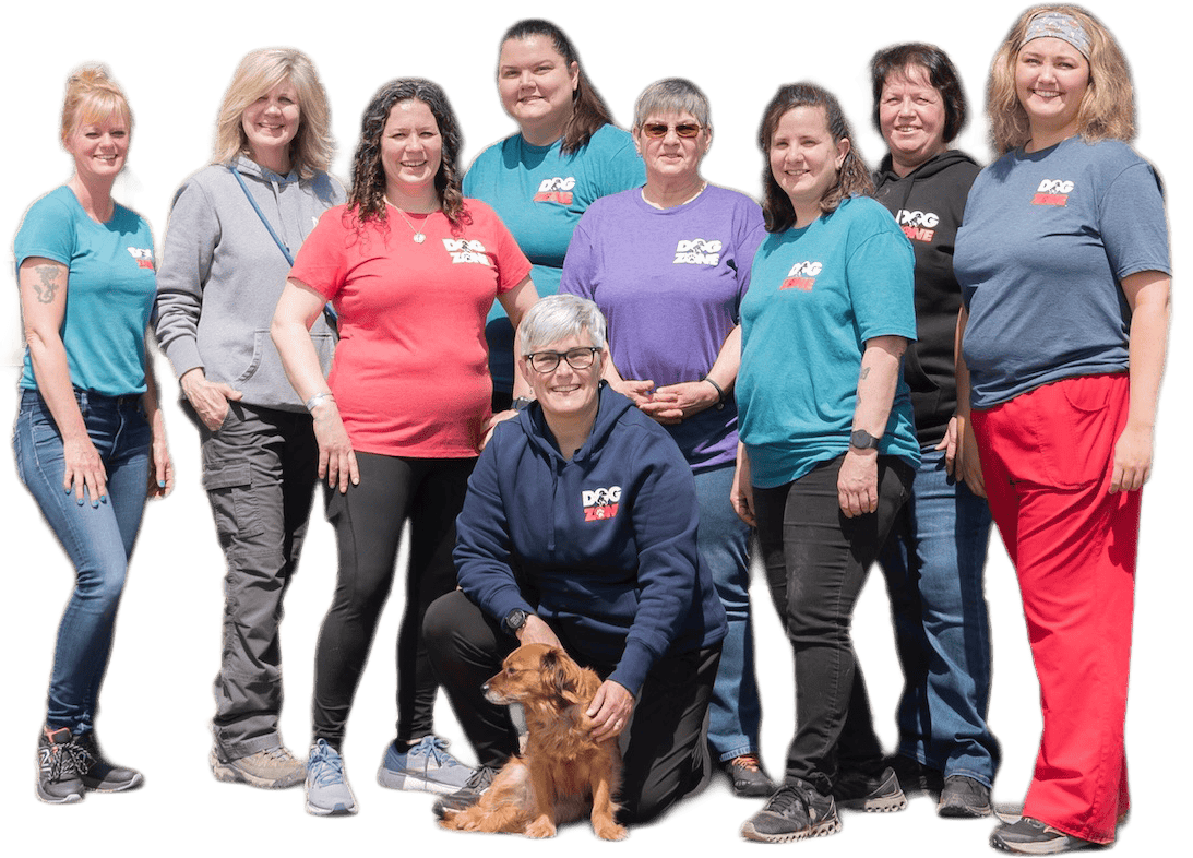 Meet the Dog Zone Team | Dog Care Experts in Battle Creek
